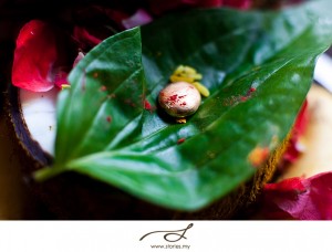 Ponnurukku: An Eelam Tamil Gold Melting Ceremony – Malaysia Lifestyle ...